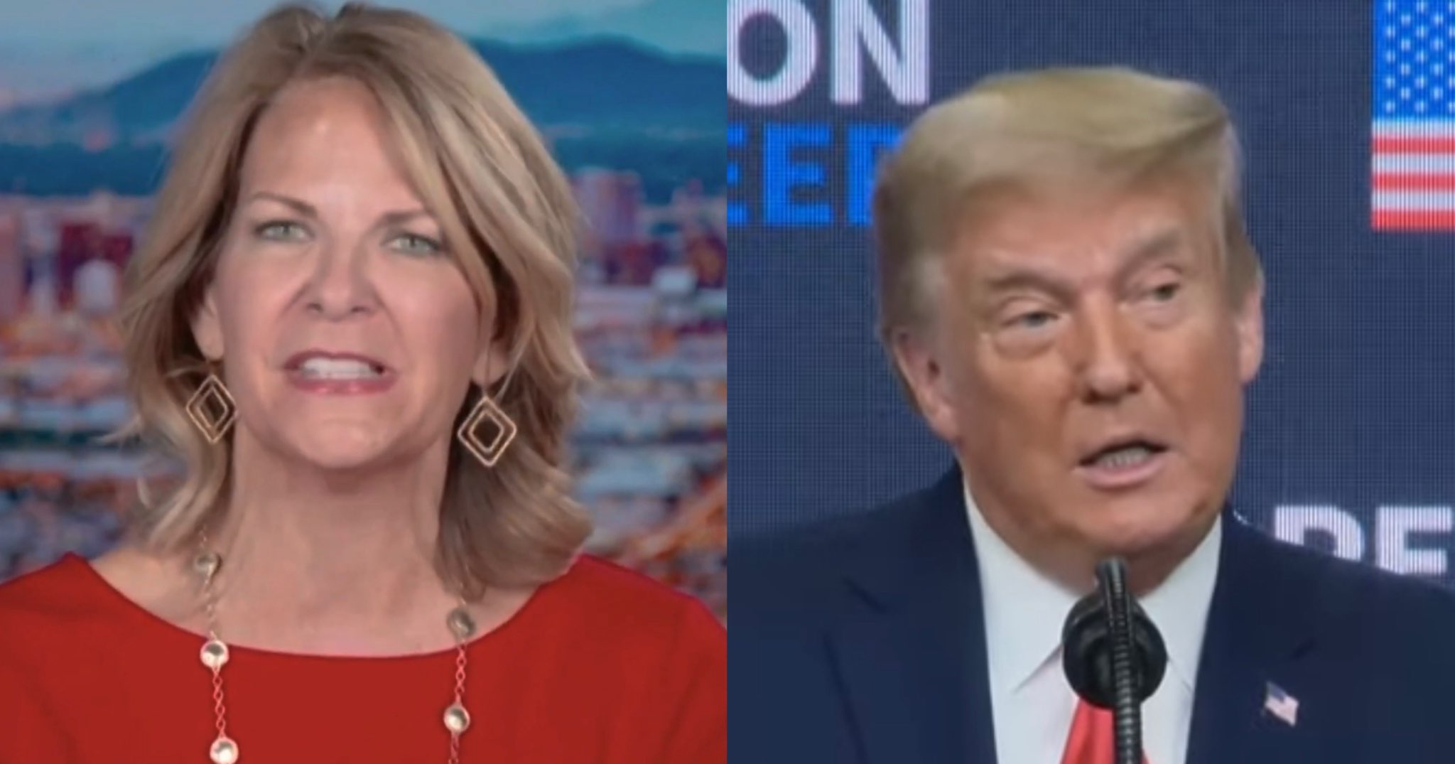 Jellyfish.NEWS - ARIZONA GOP CHAIR KELLI WARD SAYS DESP...