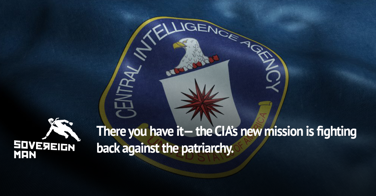 Jellyfish.NEWS - US News - CIA goes full woke in new recruiting...