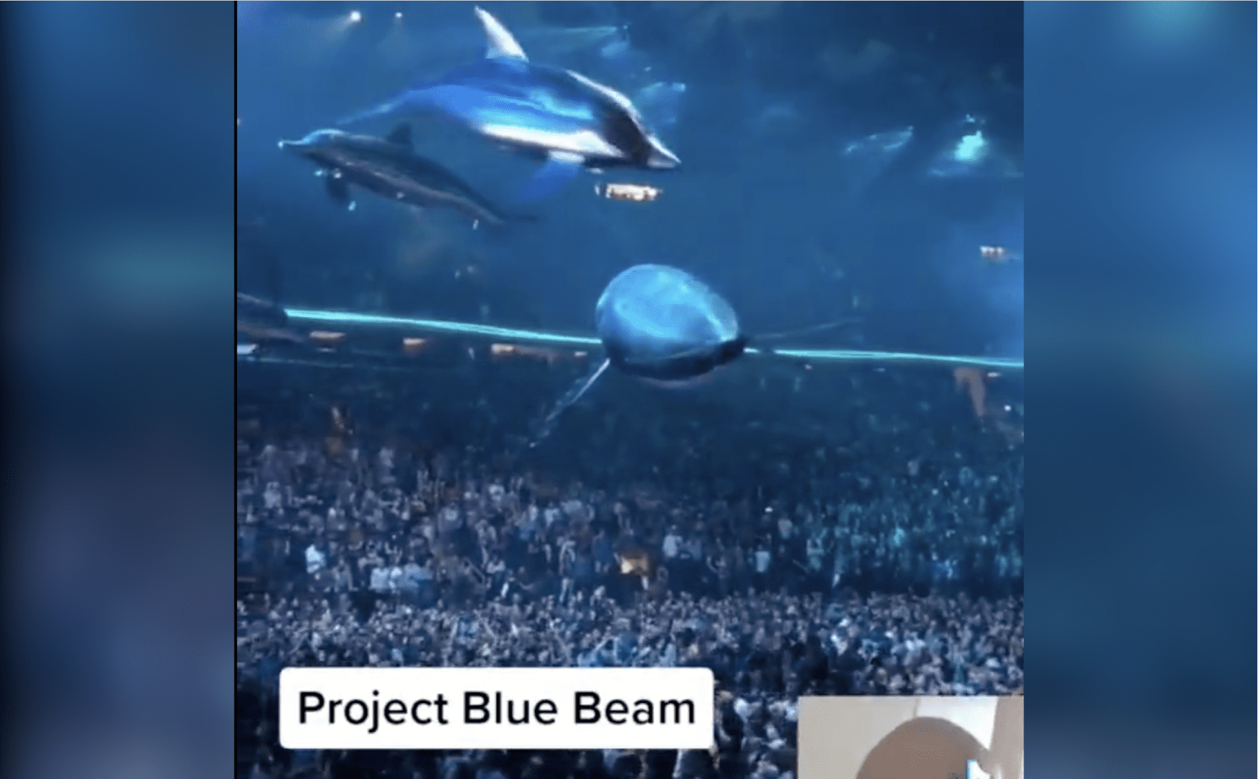 EXPOSING Project Bluebeam! - Jellyfish.NEWS