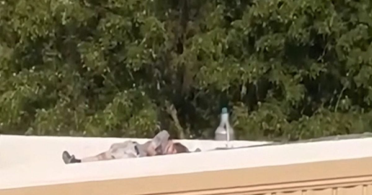 BREAKING: FBI Secretly CREMATES Thomas Crooks’ Body - Jellyfish.NEWS