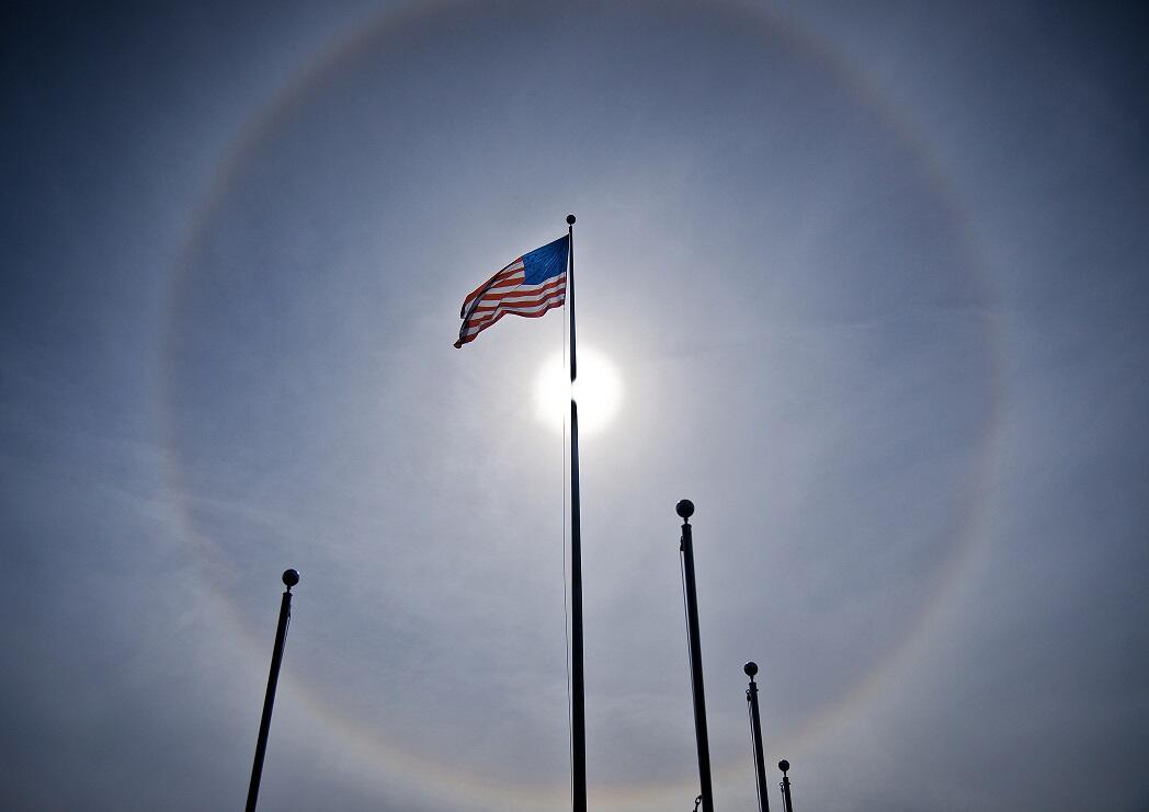 Civic Education: The Phoenix Arises - Jellyfish.NEWS