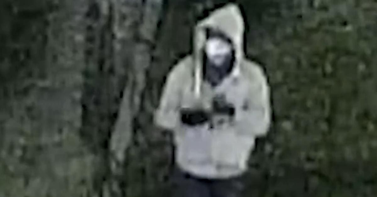 Thanks to Patel, the crazy truth about J6 pipe bomber is finally coming ...