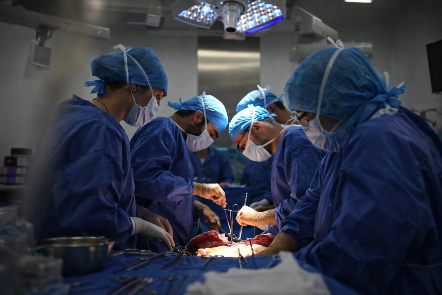 ‘Murder Masquerading As Medicine’: Senate Ignores Bill O... - Jellyfish ...